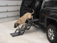 Pet Loader XL 18" Platform - Pet Loader