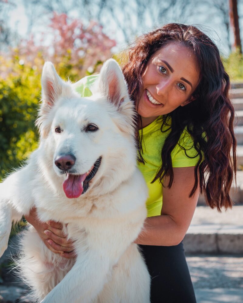 Pet Loader - Superior Dog Steps for Vehicles and More - Made in the USA