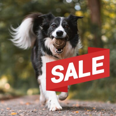 Pet Loader - Superior Dog Steps for Vehicles and More - Made in the USA