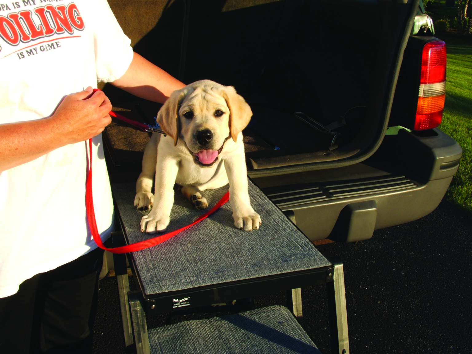 FAQ - Frequently Asked Questions - Pet Loader